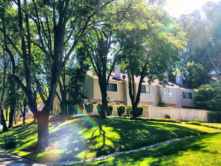 Landscape Maintenance | Richmond, San Ramon, Brentwood, CA